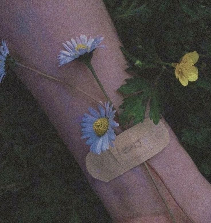 to be heard and validated. Sometimes, it feels like no matter how… | by ...