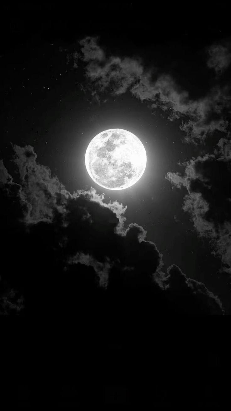 The Child Who Loved Stars .. when a starry-eyed child meets the… | by ...