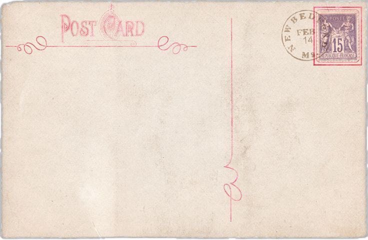 Dear, cha | by Chantika Defan | May, 2025 | Medium