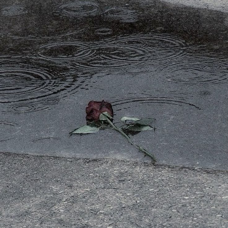 𝜗𝜚 | GOOD SOIL, BAD SOIL | by unsent letters from lisette | Medium