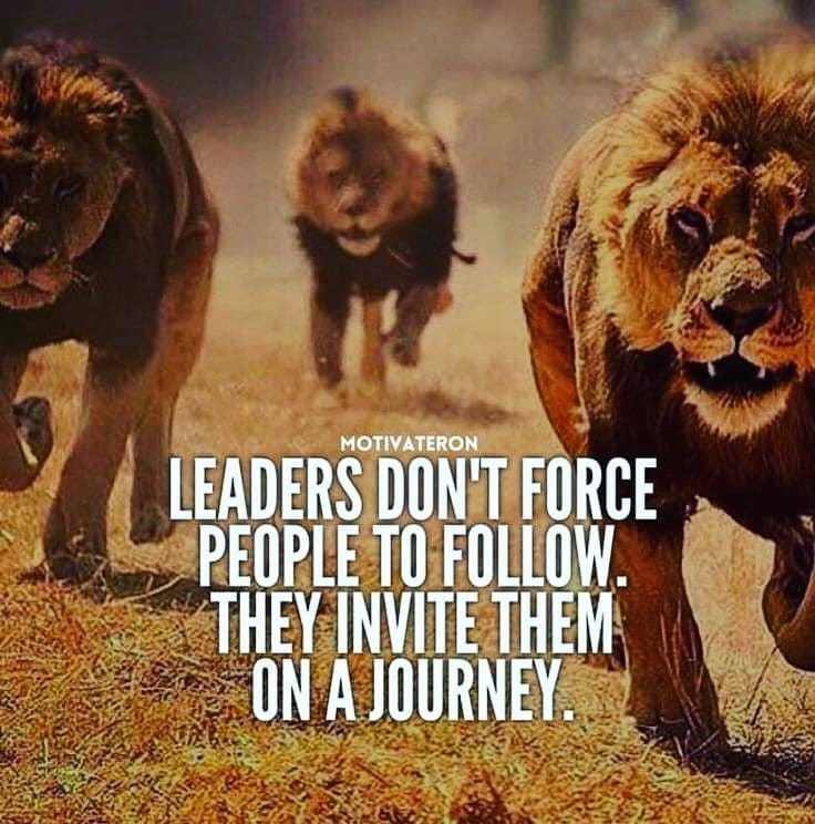 Leadership. You can lead Lions or you can lead… | by D. Luke Allen | Medium