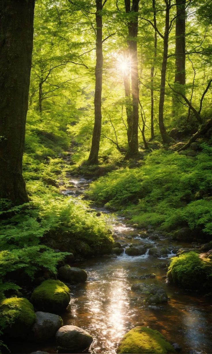 Nature has a profound impact on mental health, offering numerous ...
