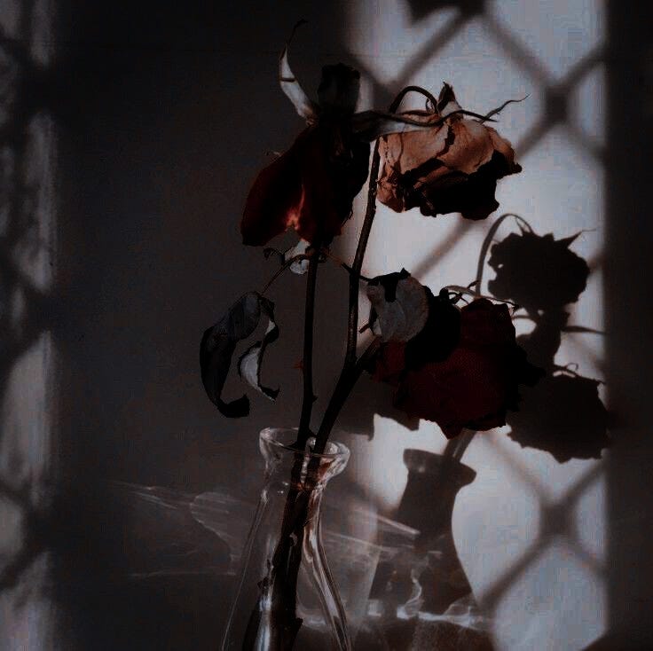 I realize now…. I realize now, they were never the… | by Sophie. | Medium