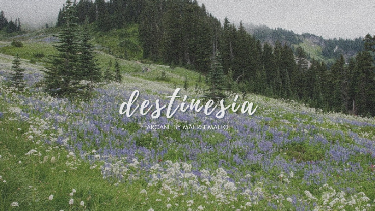 Destinesia.. “Luna…” Petra membangunkan gadisnya… | by maershmallo | Medium