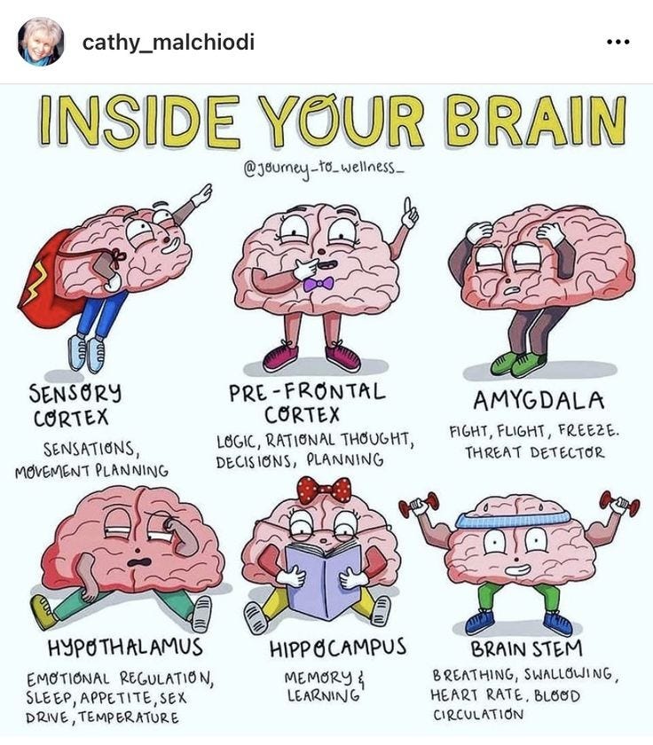 What happened inside your Brain 🧠? | by HEALTH TALKS | Aug, 2024 | Medium