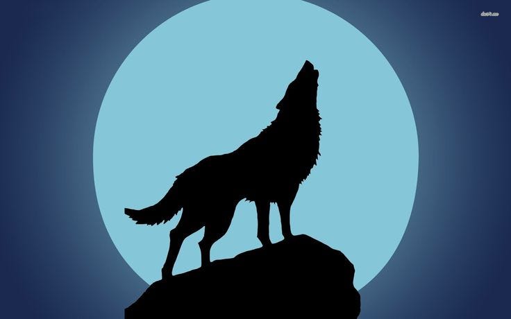 Loup-Garou - Castor - Medium