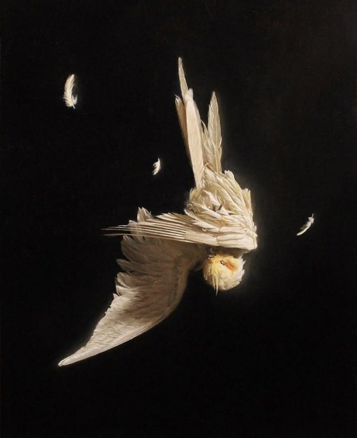 Corrupt Me Sacredly : A Theology of Purity, Passion, & Surrender | by ...