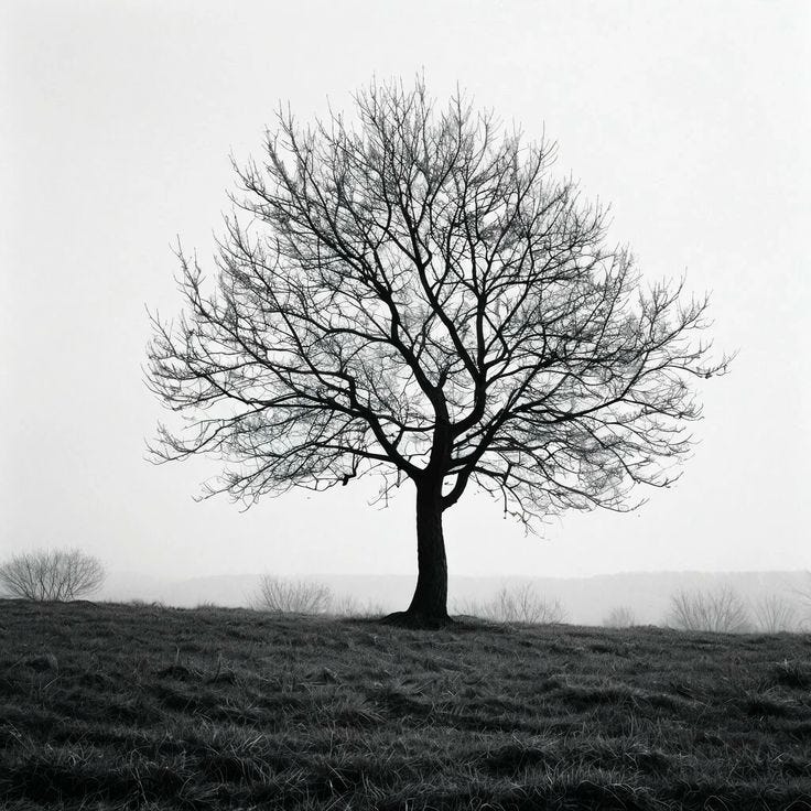 The One Who Leads The Tree The sacrifice it made, only not to receive ...