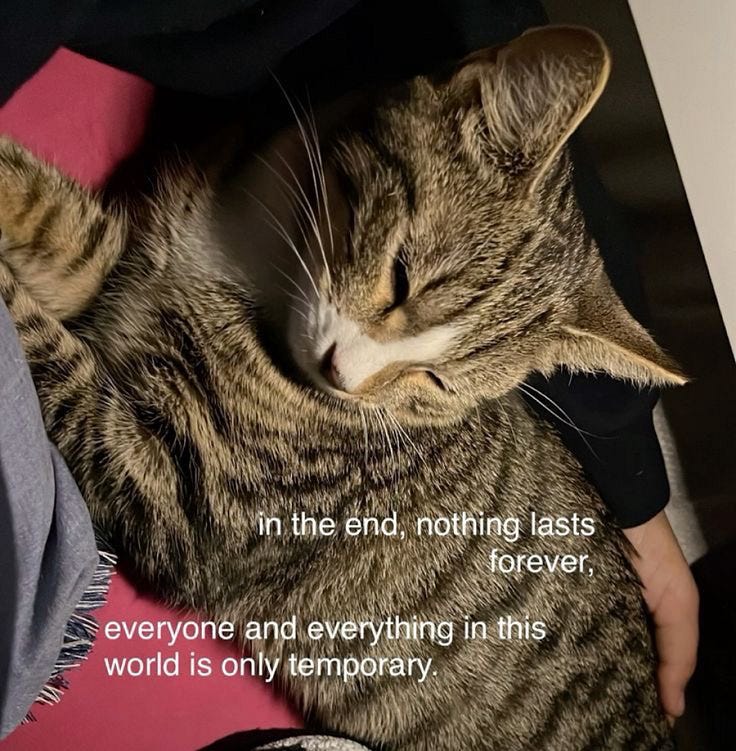 grief’s quiet persistence | by elijah | Medium