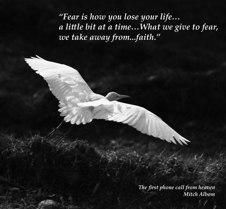 How to defeat fear in your life.. Fear is: F= false E= evidence A ...