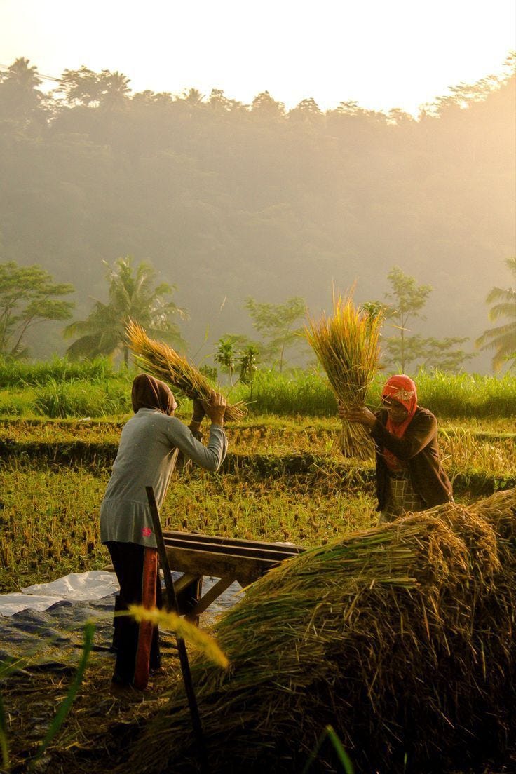 Agri is Not Just Culture, It’s Strategy. | by Reetu Shrestha | Jul ...