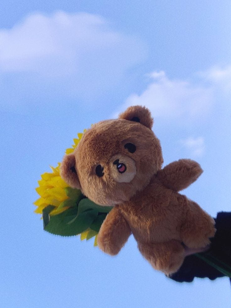 My Teddy Bear. If you trust me, I promise I’ll make… | by Ovioctavia ...