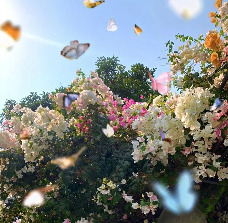The art of letting go. There’s this flower. In the embrace of the ...