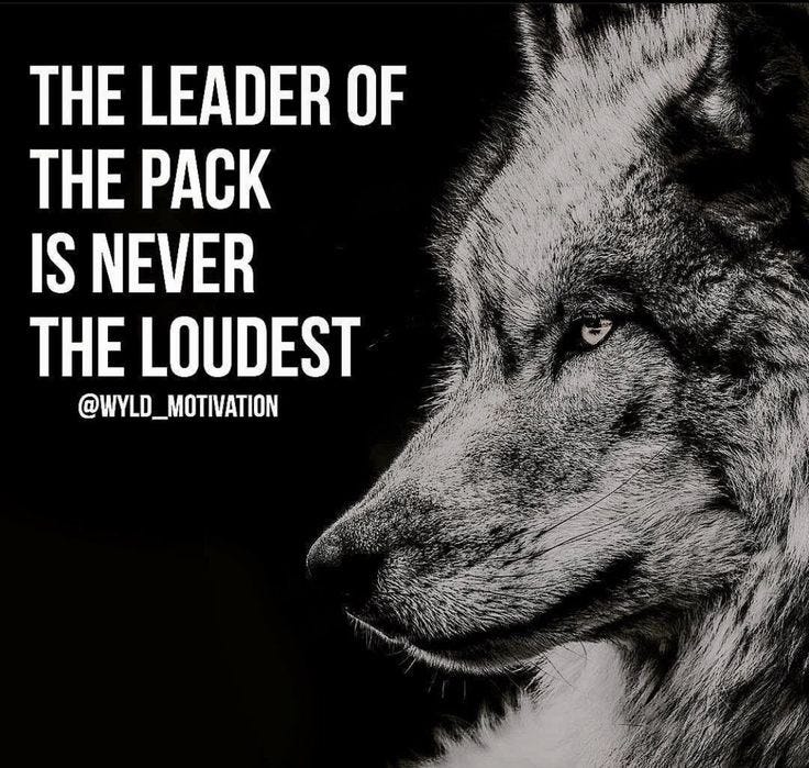 Transformative Leadership: From Animal Rescuer to Sigma Male | by THE ...