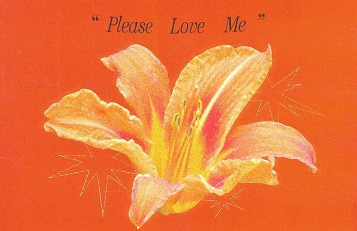 You are the most shining person in my eyes. - Atia ⋆˙ - Medium