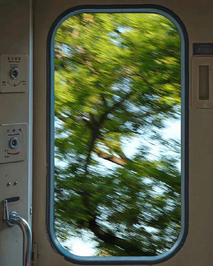 The world will wait. A gentle rebellion against urgency. | by Fatima Mudassar | The Mind-Body ...