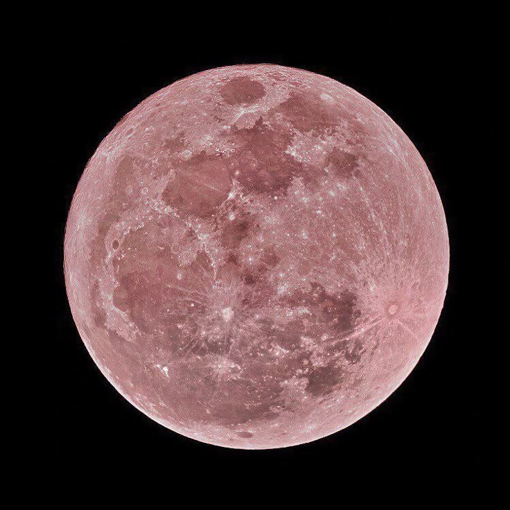 When the Moon Rises, So Do We. | by Janette Tipay | Mar, 2025 | Medium