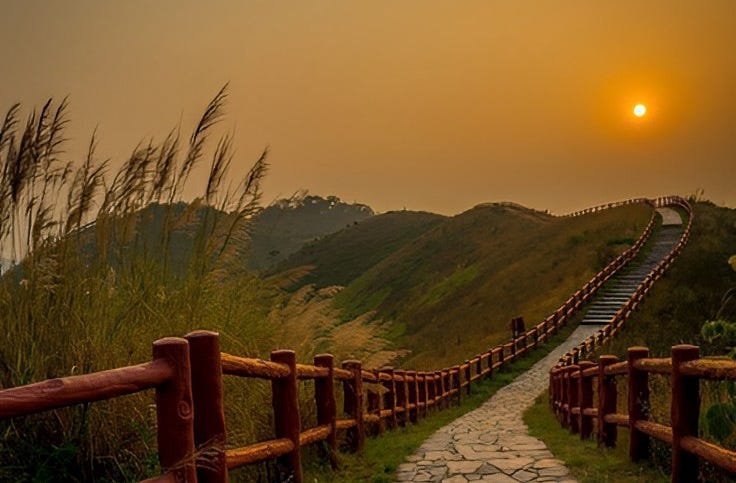 The Path | by rey | Medium