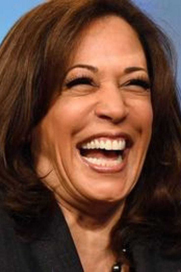 Kamala’s Diplomatic Rift: The Boycott Heard Around the World | by Ugly ...