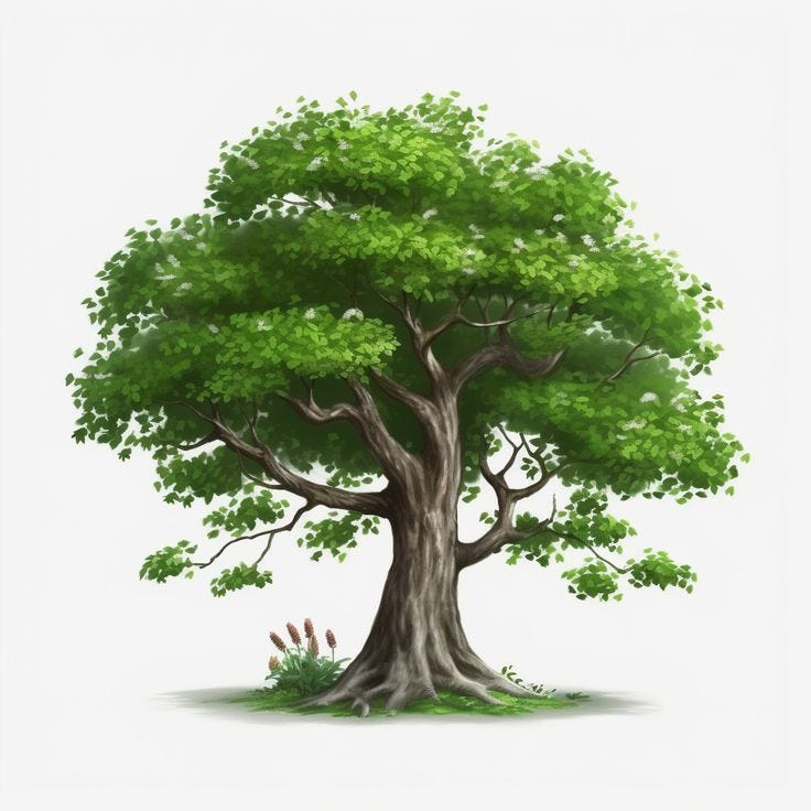 The Purpose Driven Life | by Yohany R | Medium
