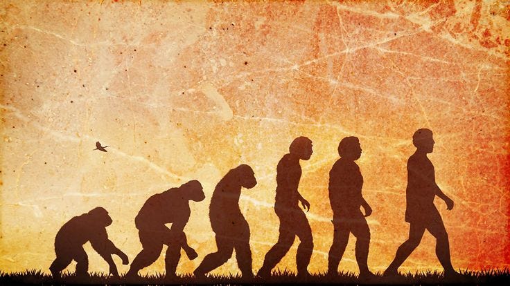 Perfection vs. Creativity: Why AI Excels in Precision But Can’t Replace ...