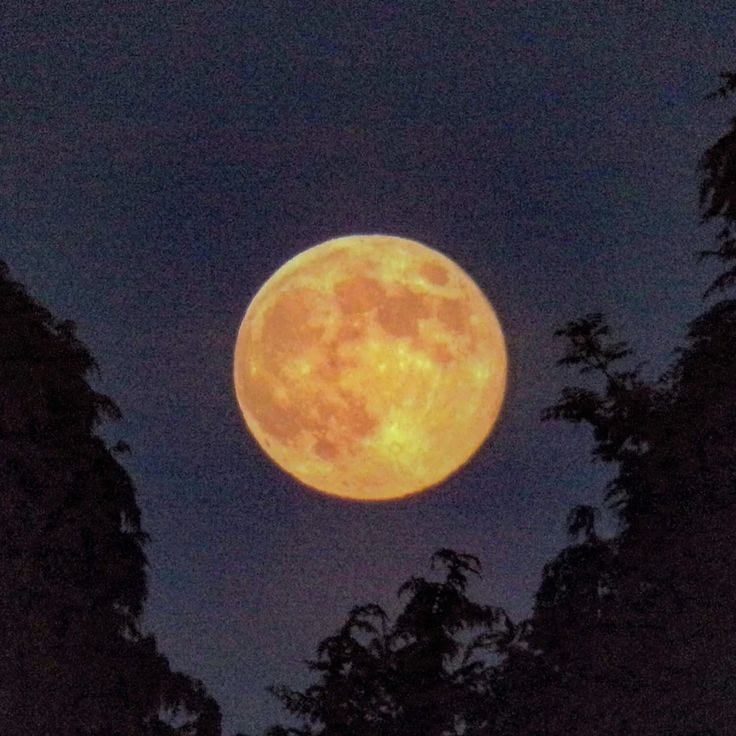 Moon.. bulan. itu satu dari banyak hal yang… | by riké | Medium