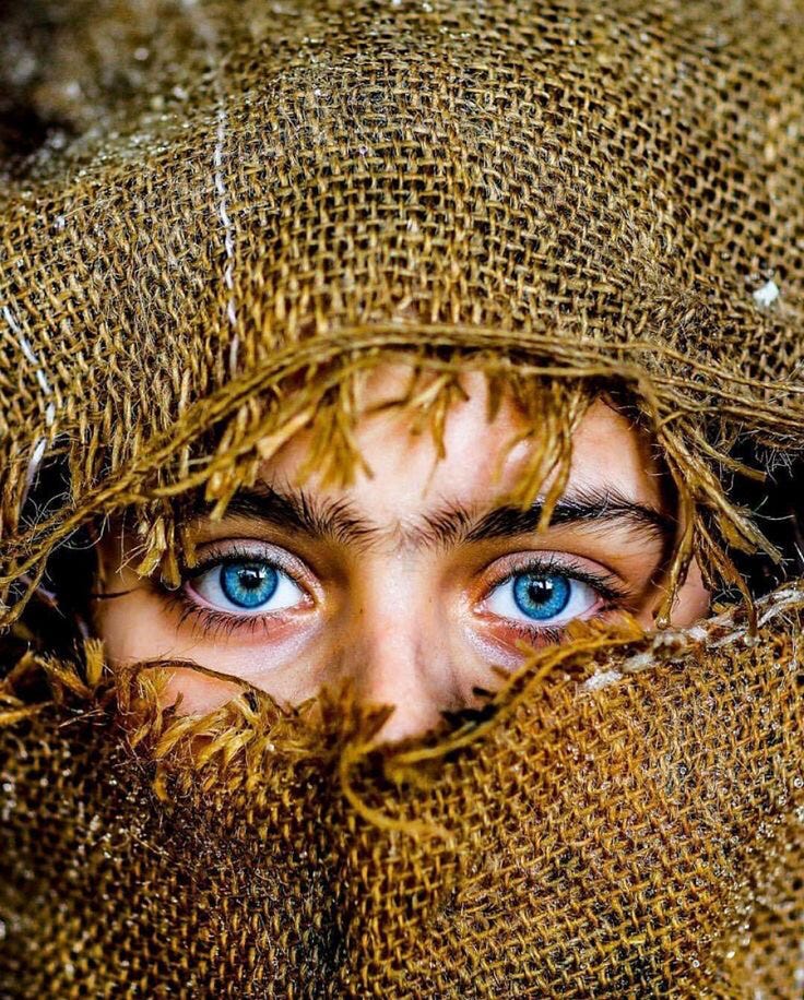 Portrait Vs Landscape. Portrait and landscape | by Hashim Libra | Dec ...