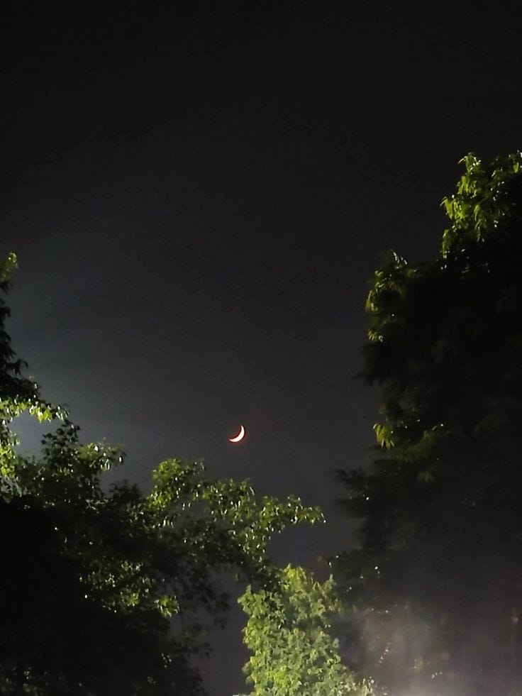 Moon Life. The Moon has interested people for a… | by Ghaffar...36 | Medium