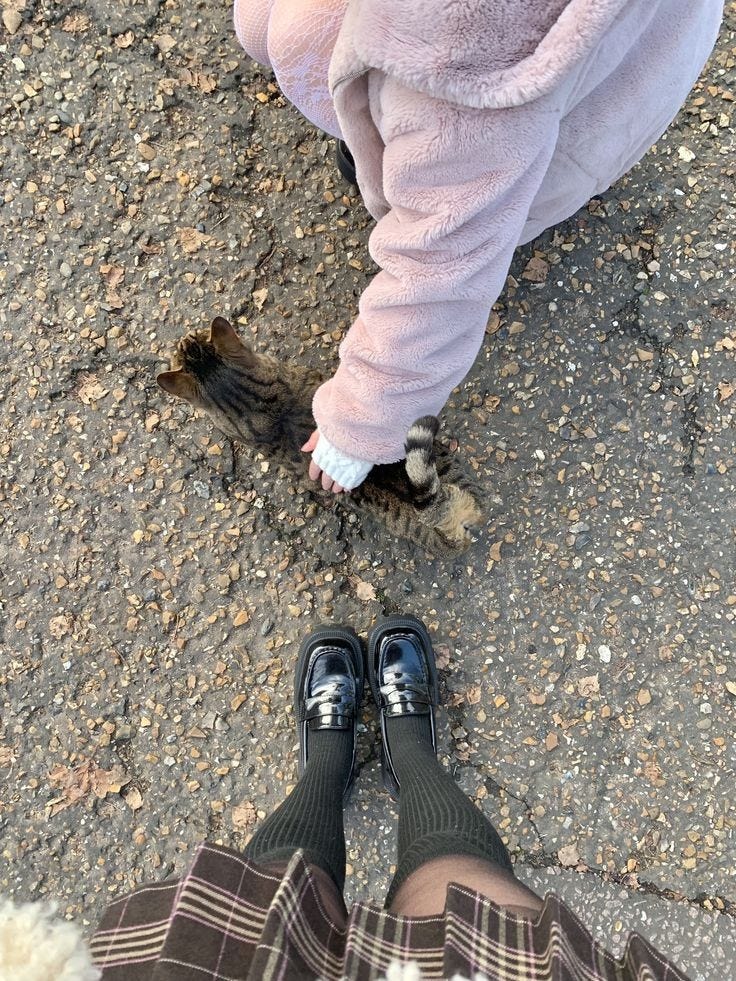 Please take a long rest, miuca!. 👭🏻 | by Sea. | Nov, 2024 | Medium