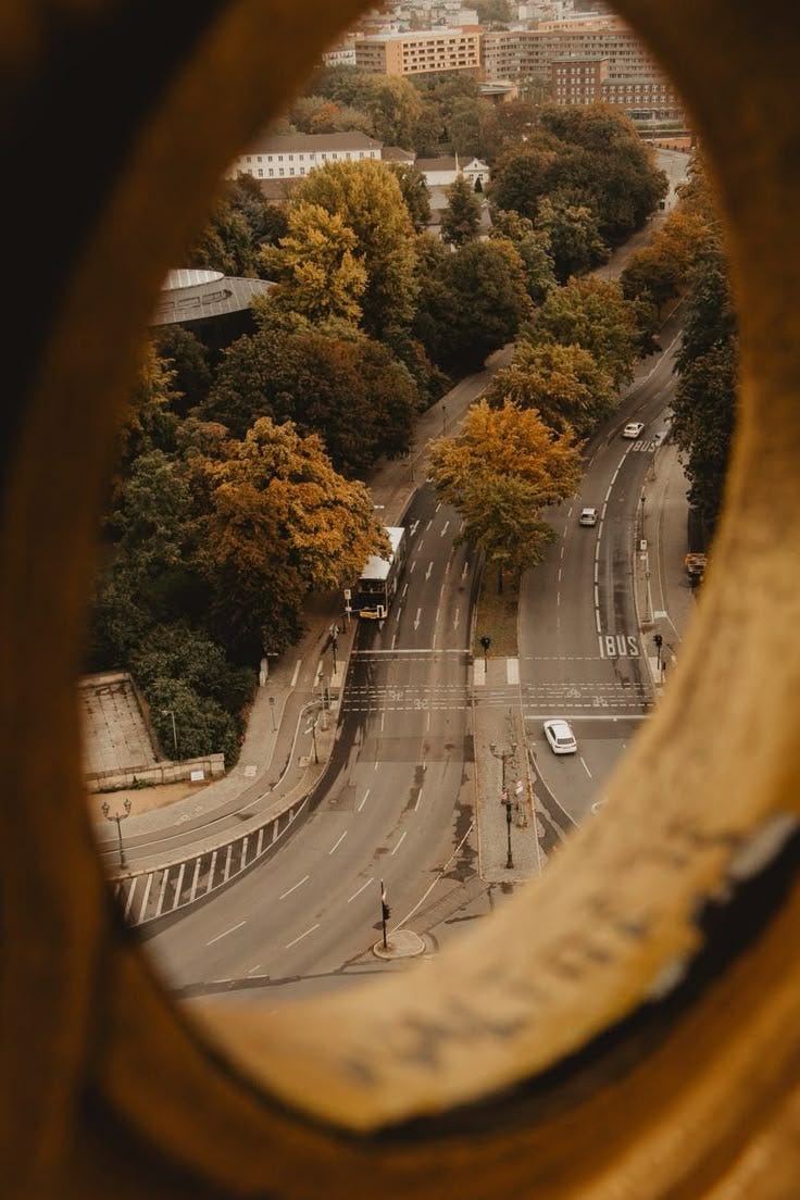 The Art of Photography: Capturing The World Through Your Lens | by ...