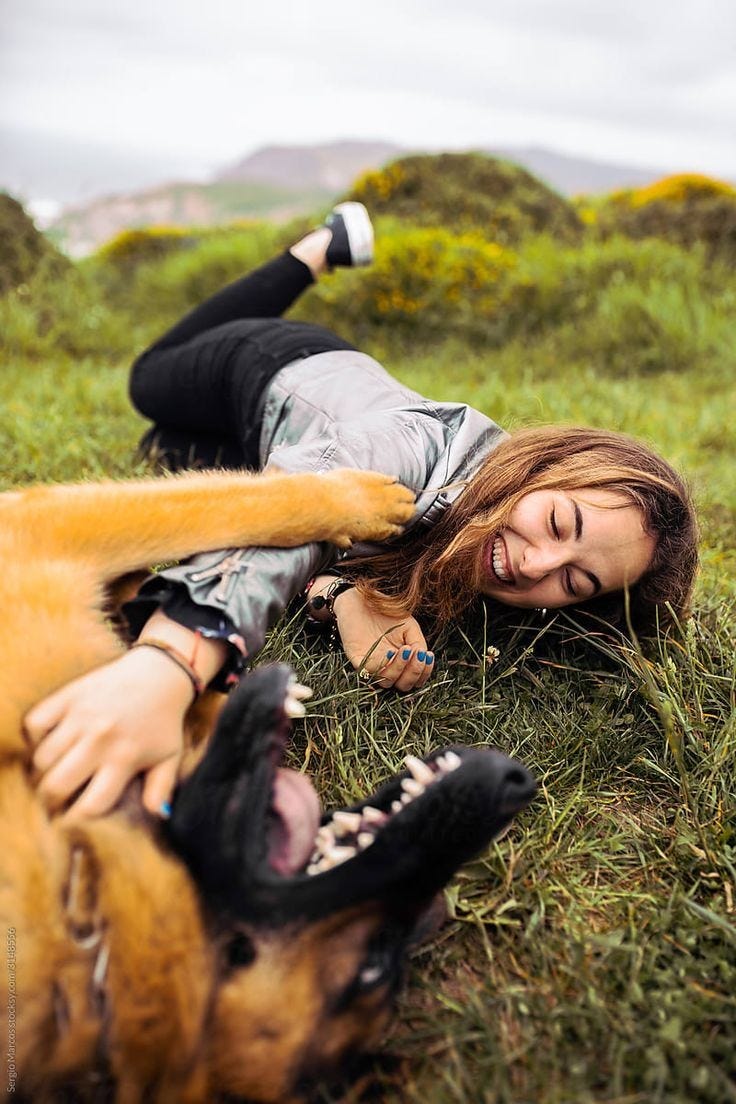 The Extraordinary Lives and Roles of Dogs in Our World" | by Shizu ...