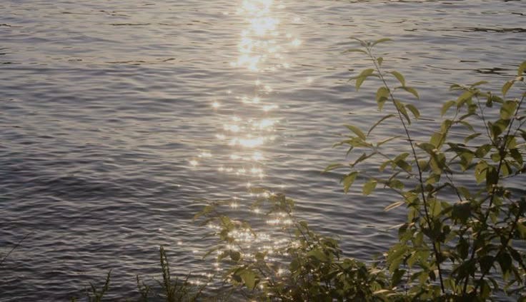 simply because i want to disappear. | by cassie. | Medium