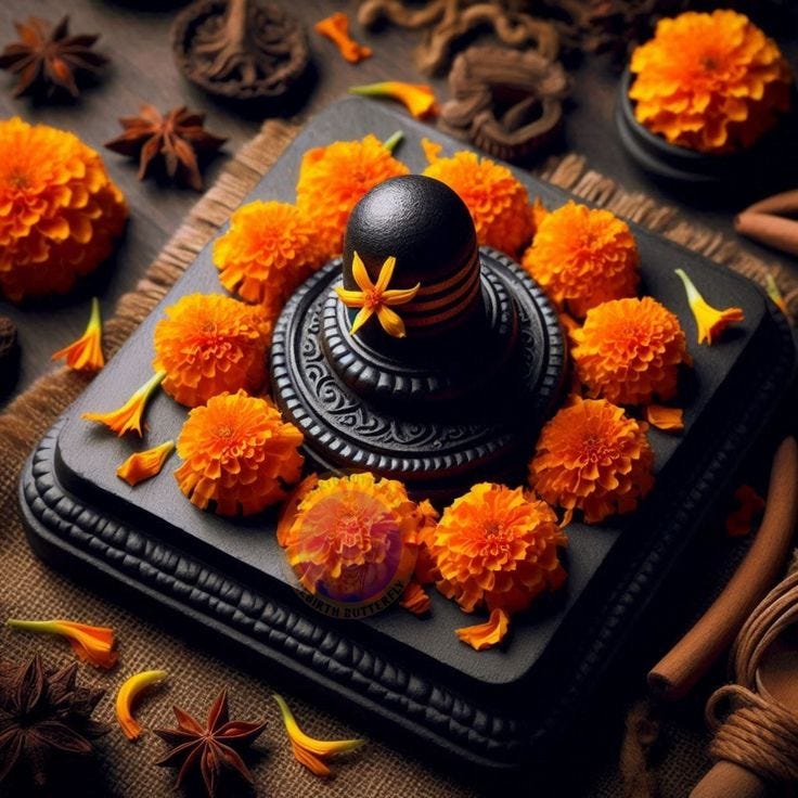 Shivlings: Which Types to Keep or Avoid at Home | by Vaniastroindusoot ...