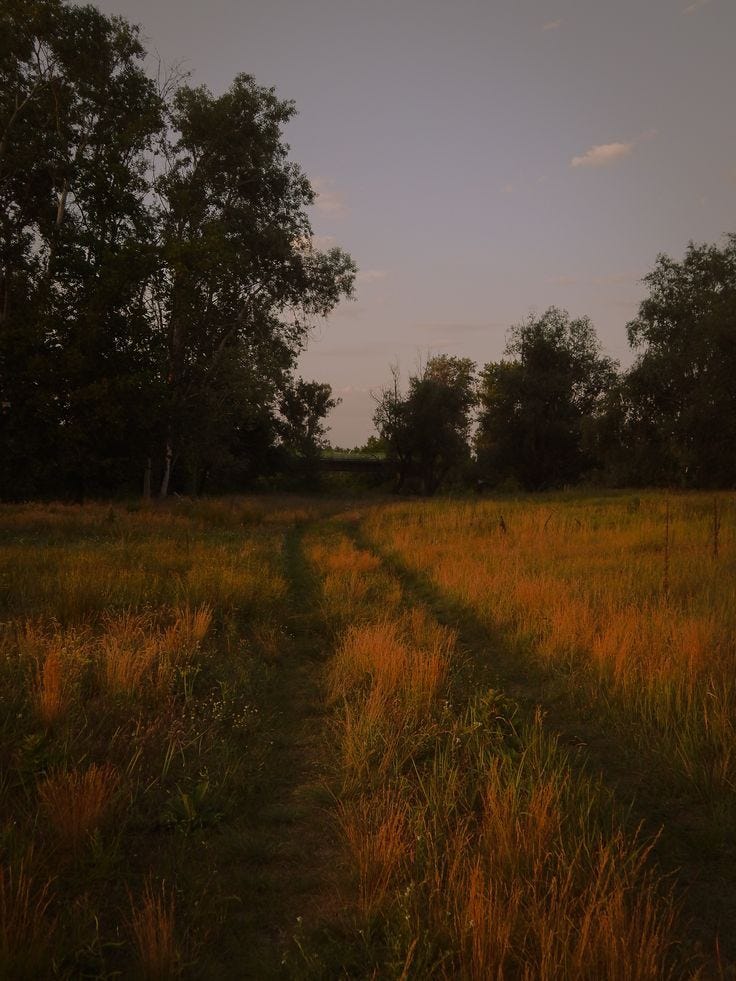 Orange. The color of warmth, of firelight… | by august | Jan, 2025 | Medium