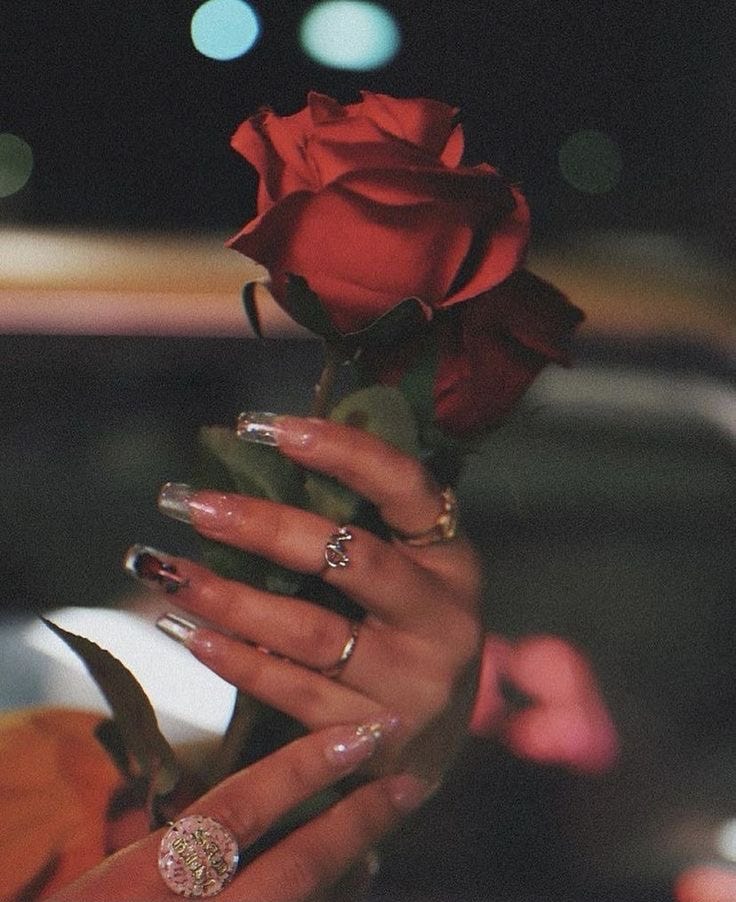 This Christmas, I Choose Peace🌹 | by Phoebe Ayegbokiki | Dec, 2024 | Medium