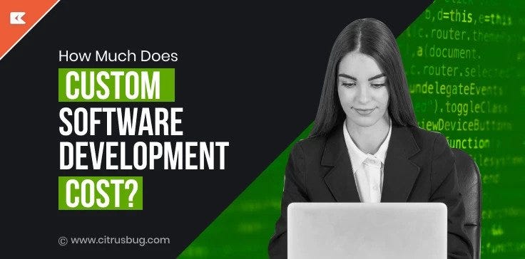 How Much Does Custom Software Development Cost? | by Angelia Davis | Medium