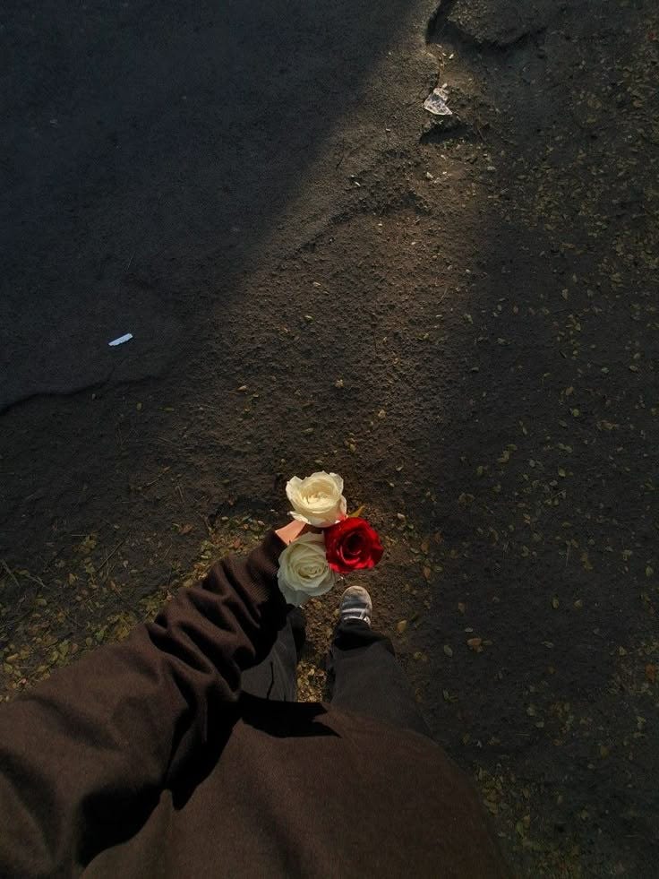 To Err Is Human. Who are we to even expect things? We're… | by ...