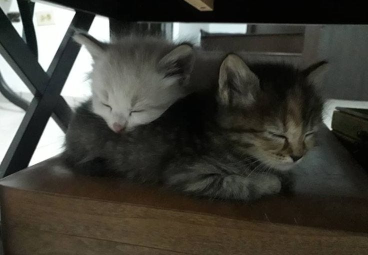 Persetan aturan cinta tak tertulis di atas batu. - kiya - Medium