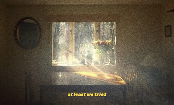 We tried anyway.. you trying is already enough‚ not… | by words i ...