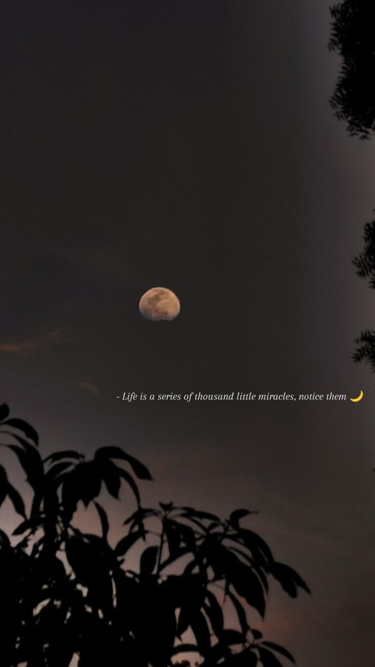 The Beauty of Small Miracles: Learning to See Life Differently | by The ...
