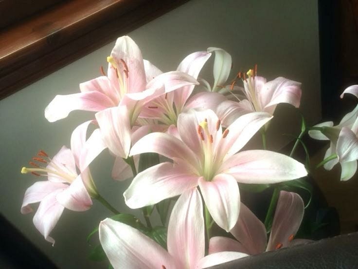 have you ever been in love ?. i do, im going through all the days… | by farisha afrina | Jun ...