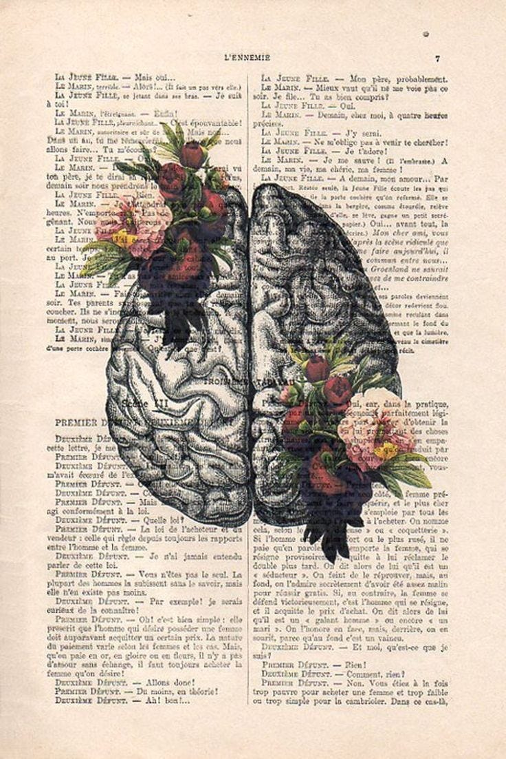 The Tale of Henry Molaison: An Advancement in Neuroscience, and Medical ...