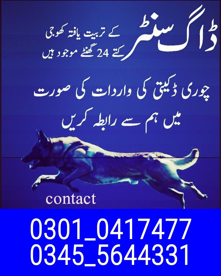 Army dog center sialkot 03017735103 - Dog Center 03017735103 - Medium