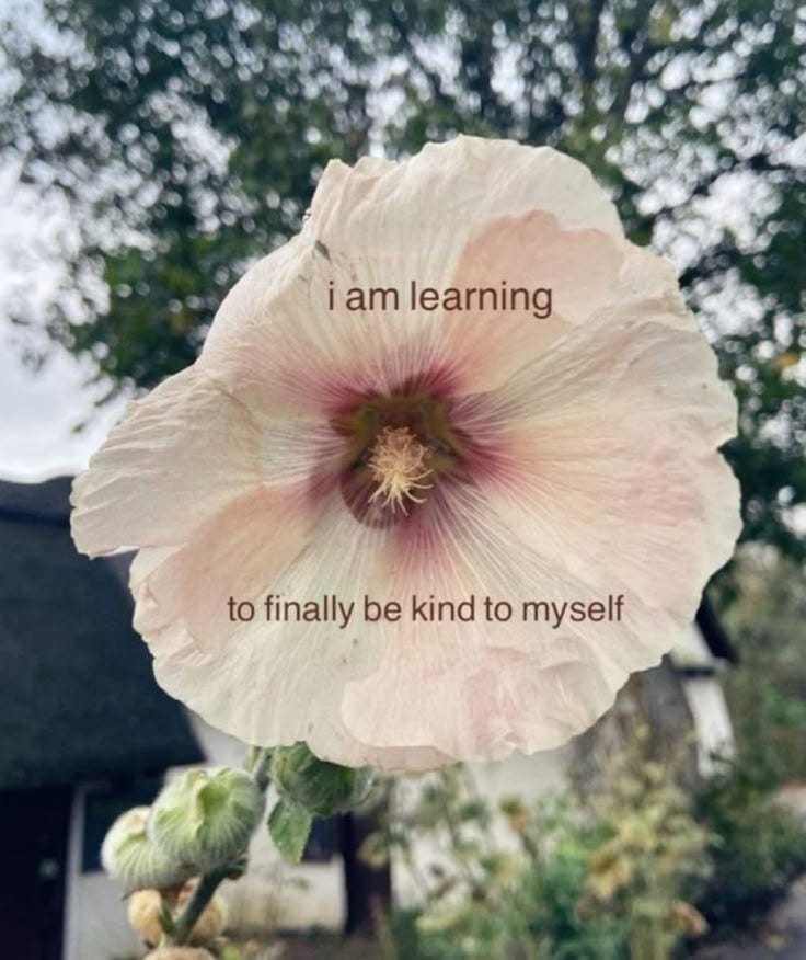 i am learning to finally be kind to myself. | by ailsya avriel | Medium