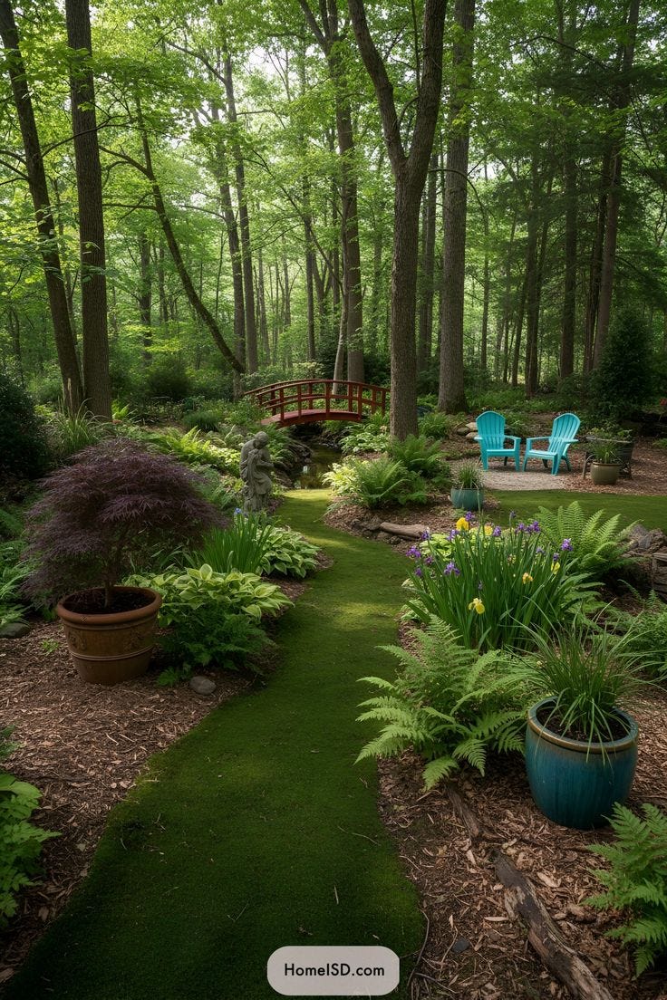 Can we build a forest in backyards | by Verdant Mind | No Time | Medium
