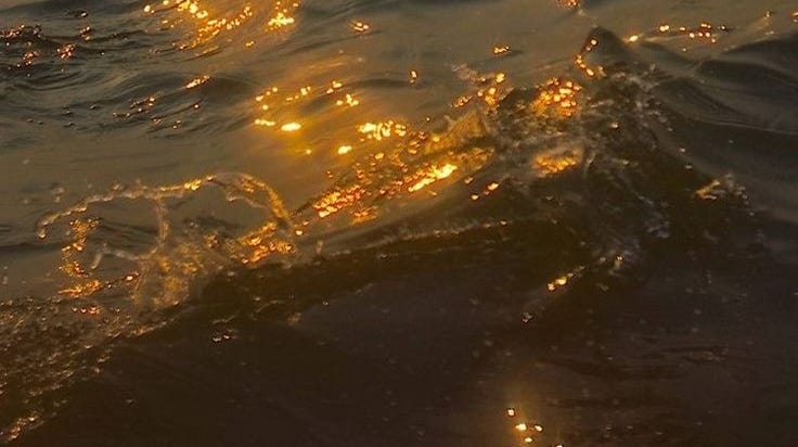 bout ‘golden hour' guy - gyuupoii - Medium