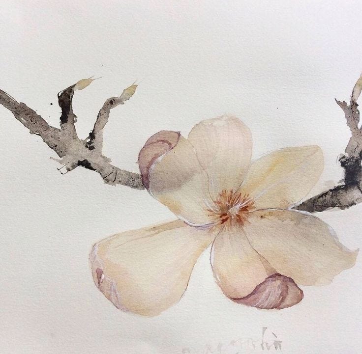 ICHIGO ICHIE. The art of making the most of every… | by Skylar Hayes 📚🌸 ...