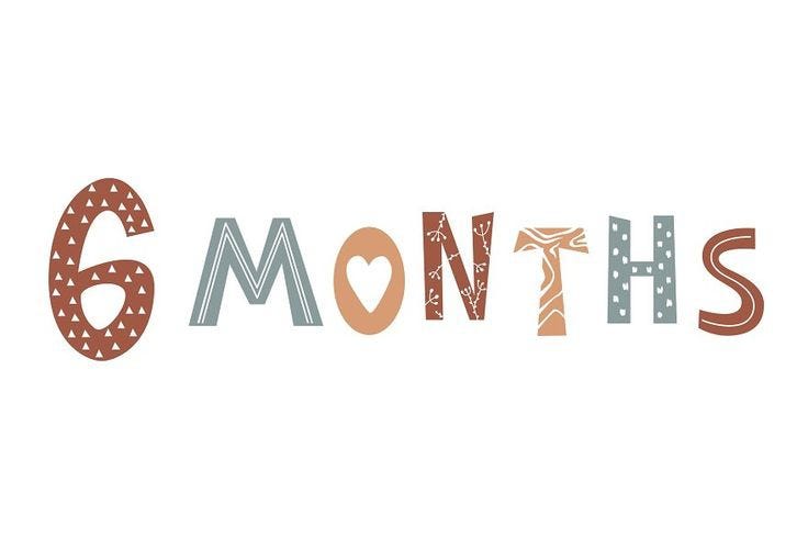 The Past 6 Months..... I had my dream job and I let it go | by ...