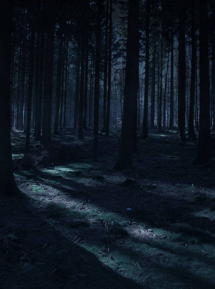 Deru nafas saling bersahutan memenuhi heningnya hutan yang gelap dan ...