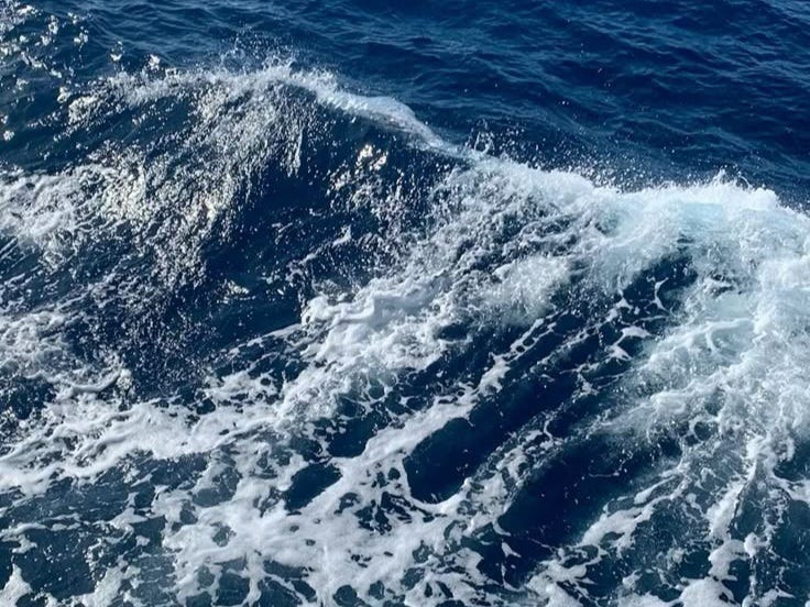 The Sea - Cee - Medium